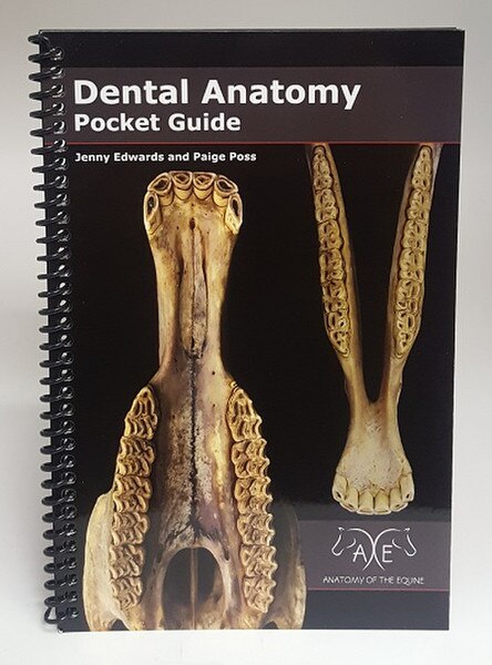 Dental Pocket Guide | Well-Shod