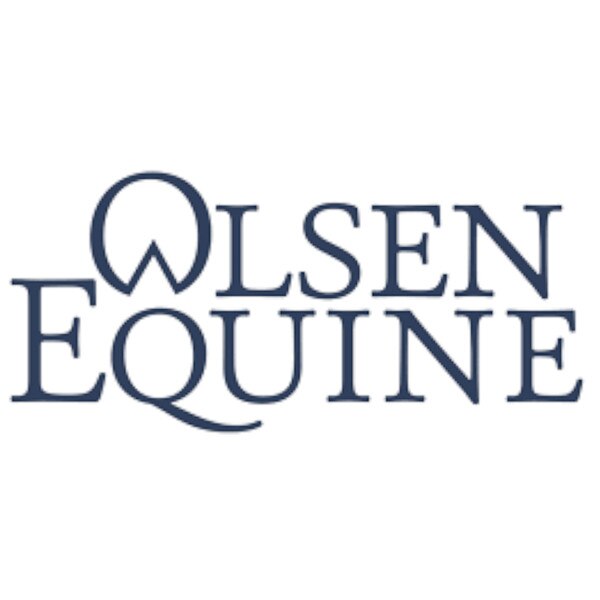 OLSEN EQUINE HORSE OWNER TOOL KIT | Well-Shod